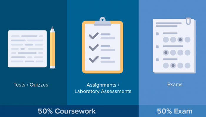 7 Awesome Reasons to Take AUSMAT Even If You're Not Planning to Study ...