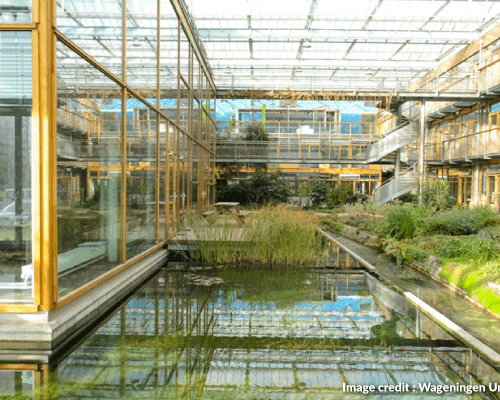 Weird and Wonderful University Buildings Around the World