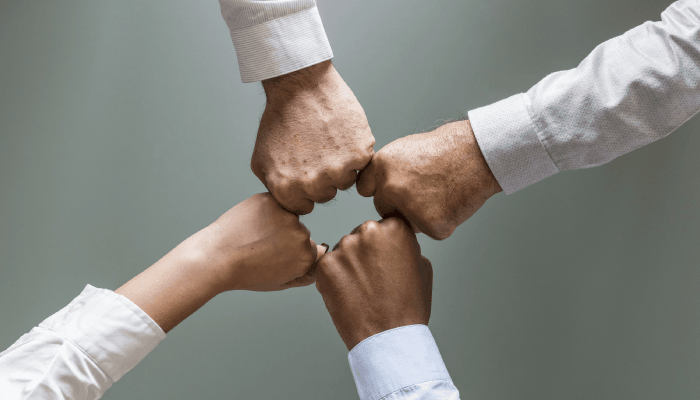 6 Popular Business Fields to Choose From