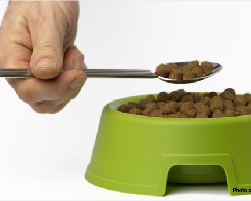 9 Weird Jobs in Science You Never Knew Existed