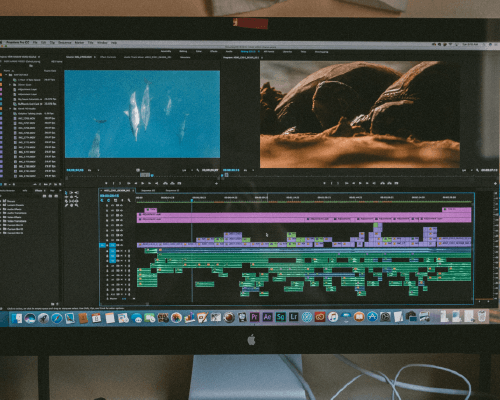 5 Jobs You Can Do as a Multimedia Design Graduate