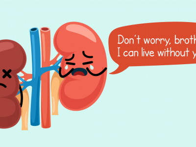 8 Strange Human Body Facts That Fascinates Med Students