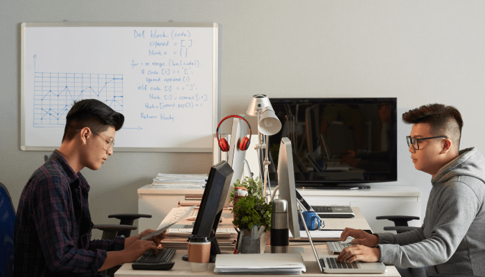 Computer Programmer vs Software Engineer