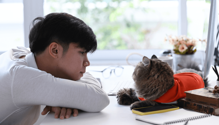 Are You Easily Distracted? 5 Types of Study Distractions and How To ...