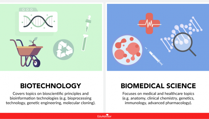 Biotechnology vs Biomedical Science: What’s the Difference?