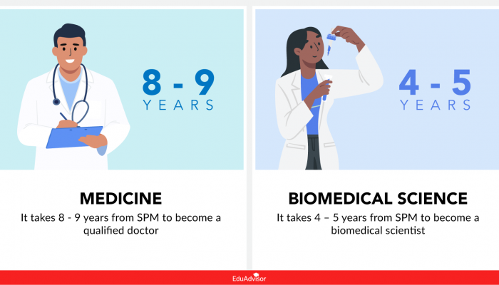 Medicine vs Biomedical Science: What’s the Difference?