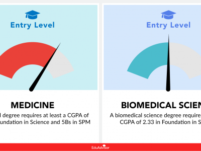 Medicine vs Biomedical Science: What’s the Difference?