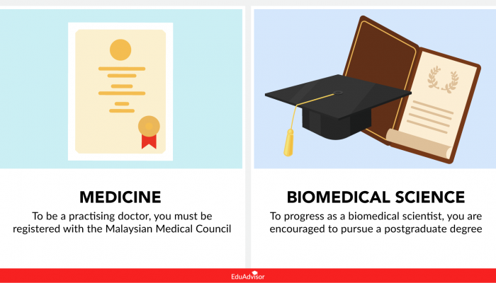 Medicine vs Biomedical Science: What’s the Difference?