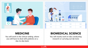 Medicine vs Biomedical Science: What’s the Difference?
