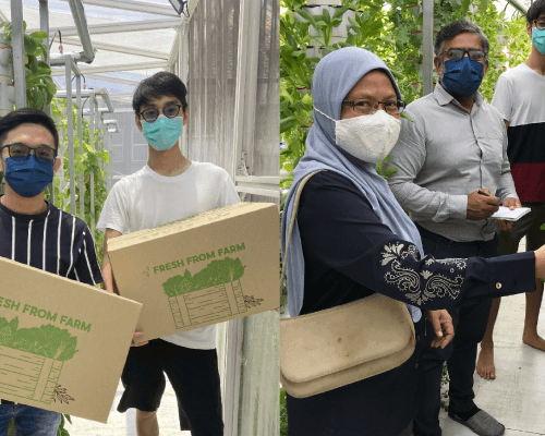 APU Students Successfully Become Founding Entrepreneurs of an Urban e-Farm