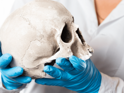 8 Types of Dental Specialists and What They Do