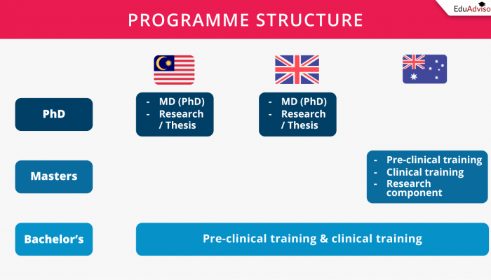 MBBS vs MD: What’s the Difference?