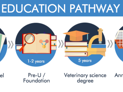 Veterinary Science Course in Malaysia - Where to Study
