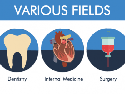 Veterinary Science Course in Malaysia - Where to Study