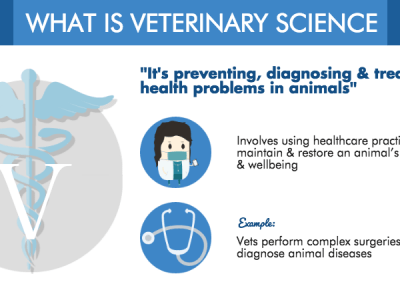 Veterinary Science Course in Malaysia - Where to Study