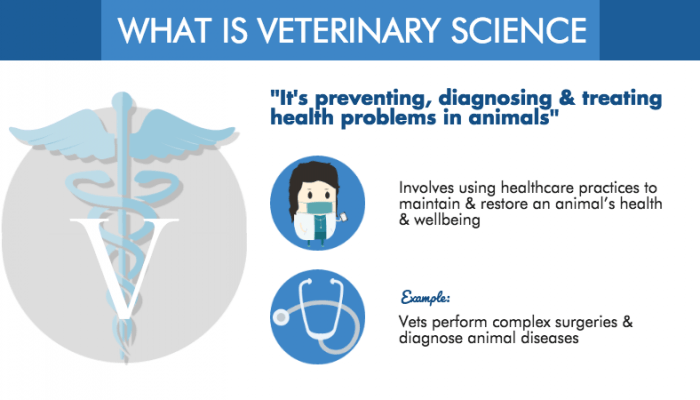 Veterinary Science Course in Malaysia - Where to Study