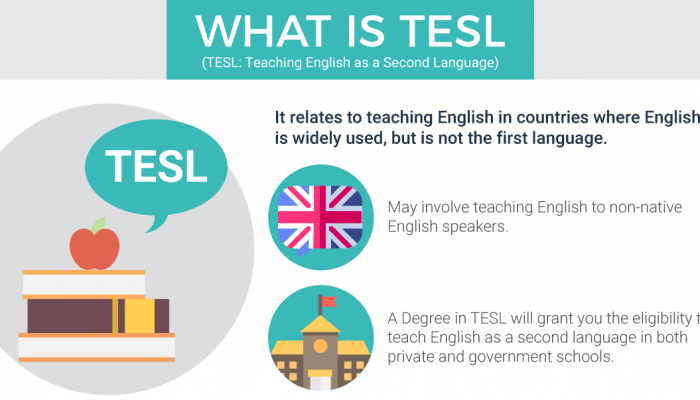 TESL Course in Malaysia - Careers & Requirements