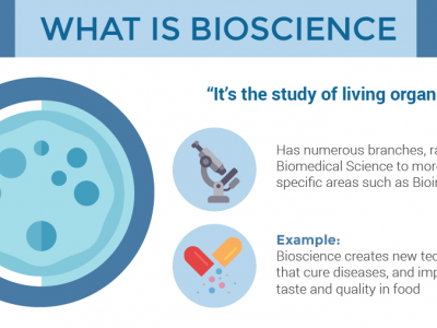 Bioscience Course in Malaysia - Subjects & Requirements