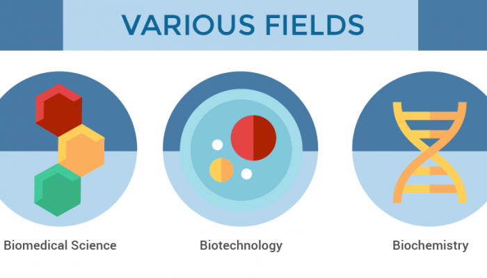 Bioscience Course in Malaysia - Subjects & Requirements