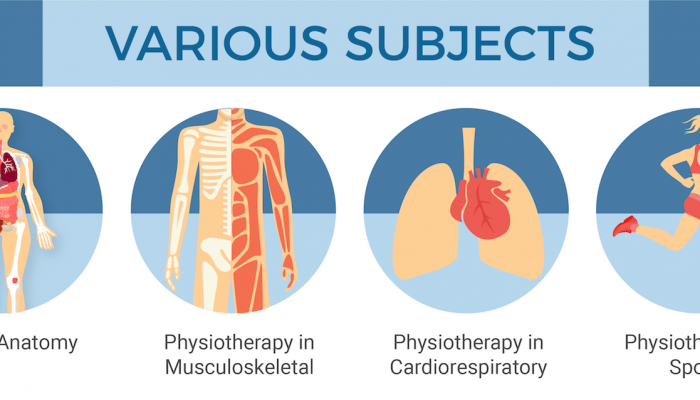 Physiotherapy Course in Malaysia - Fees & Requirements