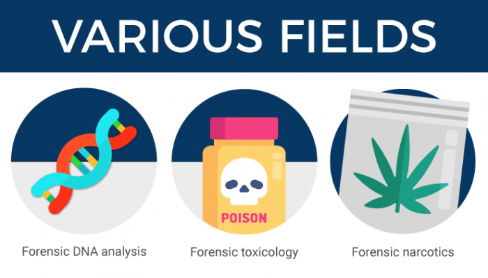 Forensic Science Course in Malaysia - Pathway & Requirements