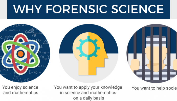 Forensic Science Course in Malaysia - Pathway & Requirements
