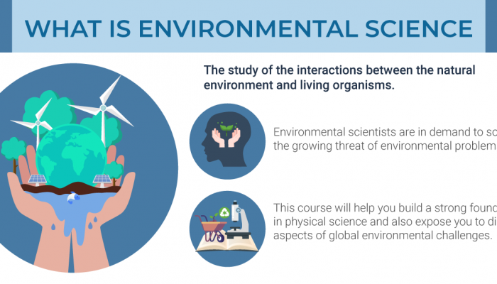Environmental Science Course in Malaysia - Job Prospects